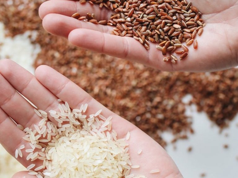 The Rice Trick Doesn’t Work (Well)—Try This Instead for Wet Phones